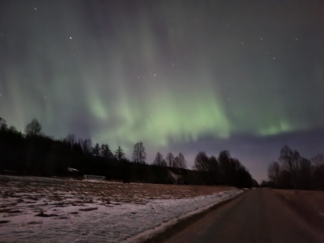 Meet the Viking Part 2: The Swedish Dream That Became a Nightmare – The ...